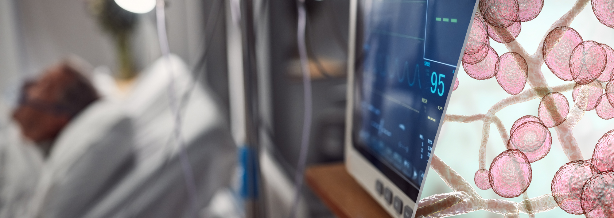 INVASIVE CANDIDIASIS - Table of Contents - Mycology Advocacy, Research & Education (MyCARE)